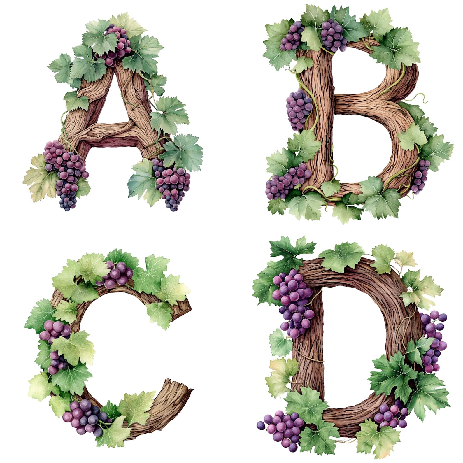 Watercolor Grape Vine Alphabet: Wine-themed Letters (PNG Digital ...