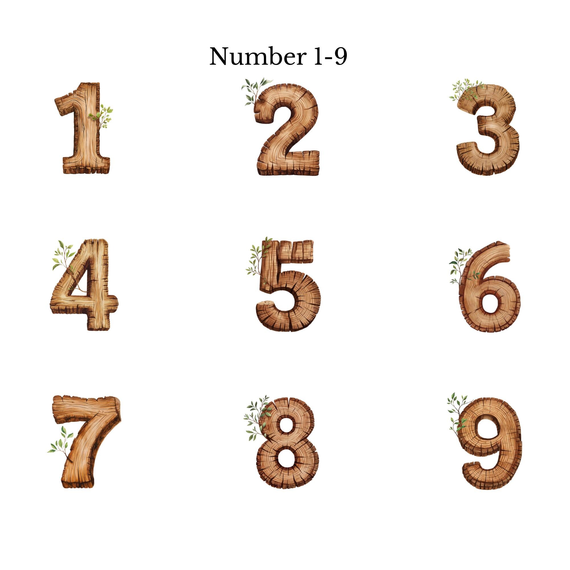Rustic Wood Alphabet & Numbers Clip Art: Boho Woodland PNG (digital ...
