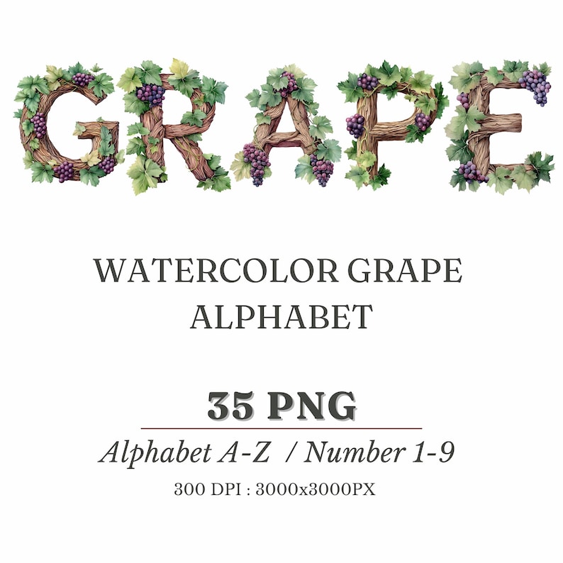 Watercolor Grape Vine Alphabet: Wine-themed Letters (PNG Digital ...