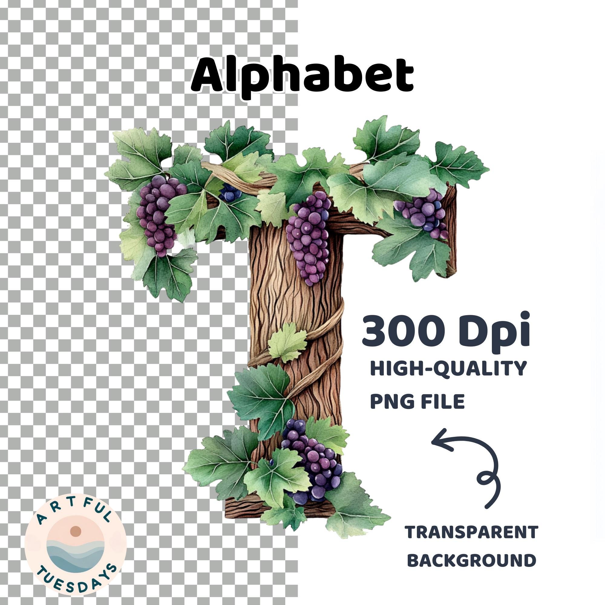 Watercolor Grape Vine Alphabet: Wine-themed Letters (PNG Digital ...