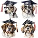 Graduation Dogs Clipart: Academic Dog Breeds PNG (digital Download) - Etsy