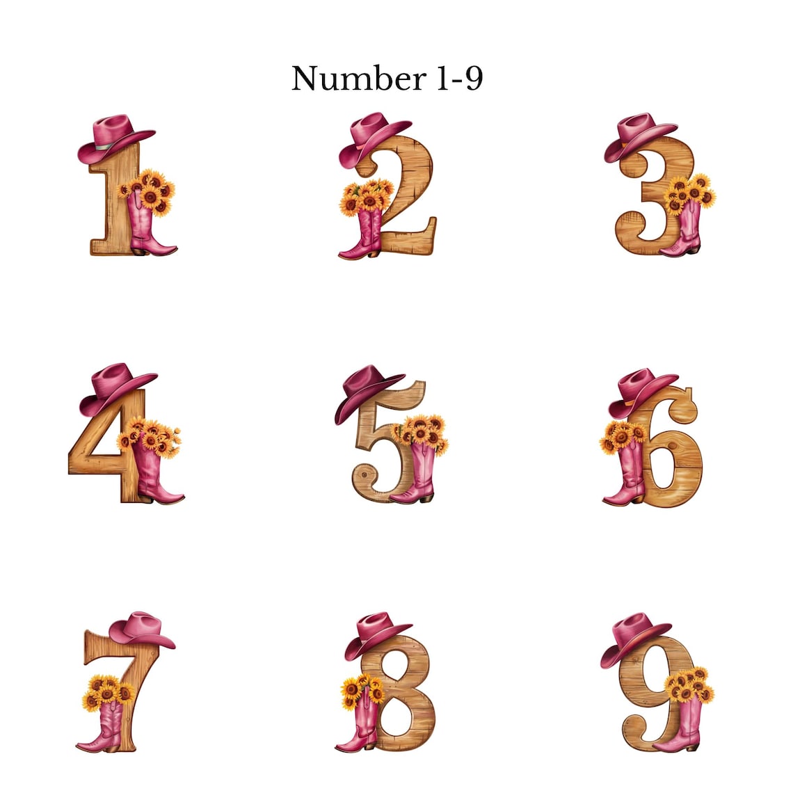 Cowgirl Alphabet Clipart: Pink Boots, Sunflowers, Western Font (PNG ...