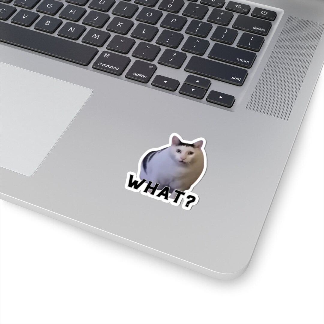 Funny Cat Meme Stickers, Cat Stickers for Laptop, Cute Cat Meme ...