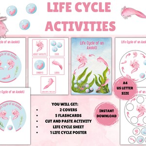 Axolotl Activities Pack. Axolotl Mini Study. Axolotl Printables ...