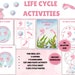 Axolotl Activities Pack. Axolotl Mini Study. Axolotl Printables ...