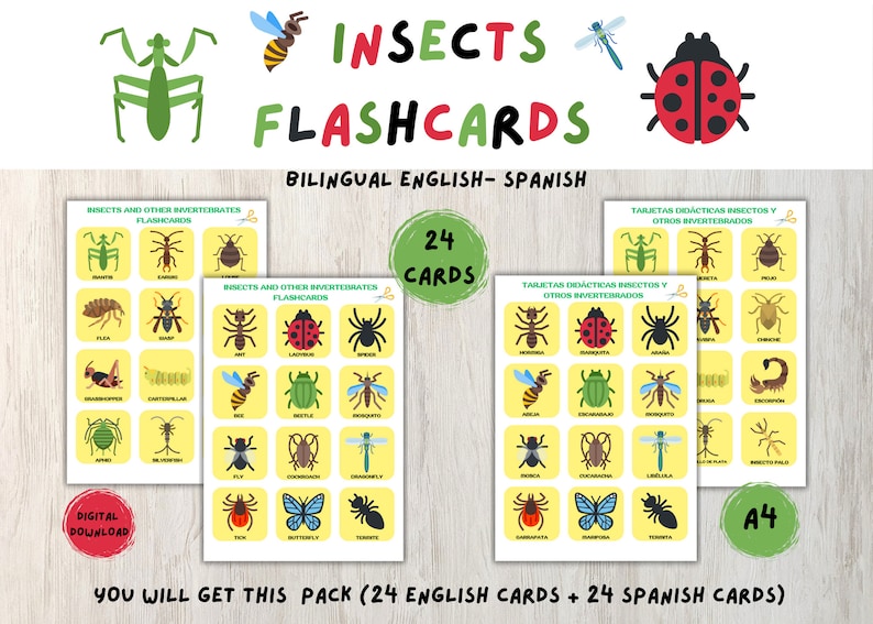 Printable Insects and Other Invertebrates Flashcards in Two Languages ...