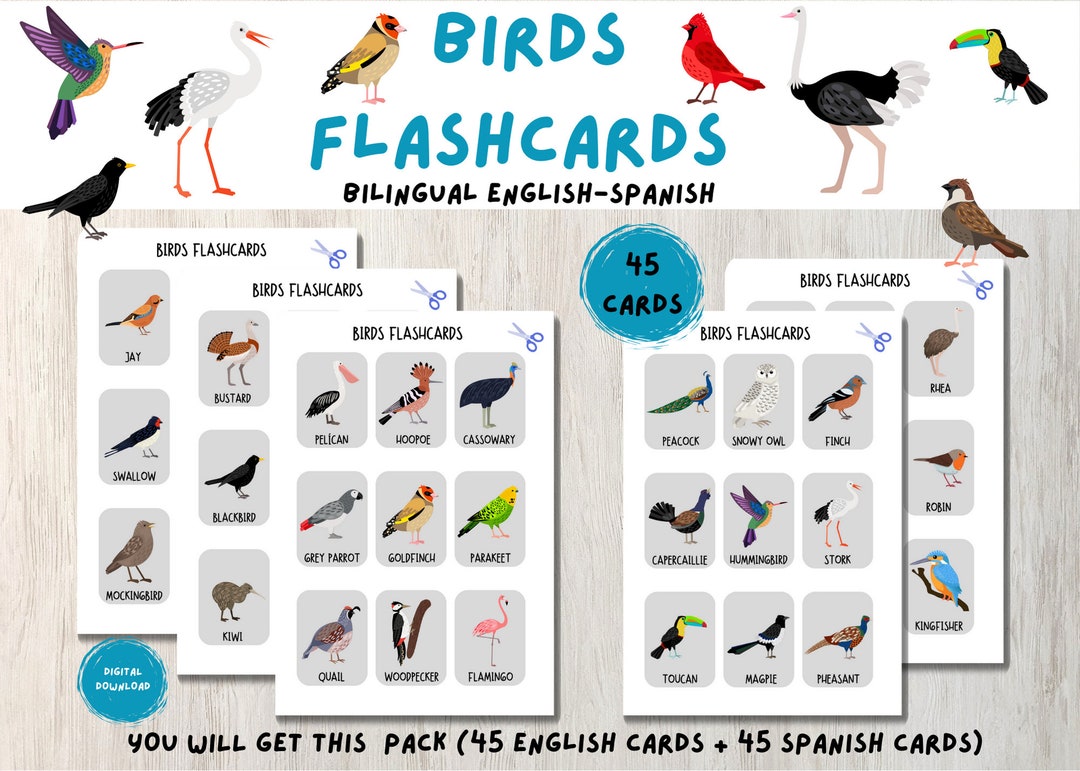 45 Bird Flashcards in Two Languages english and Spanish. Didactic Cards ...