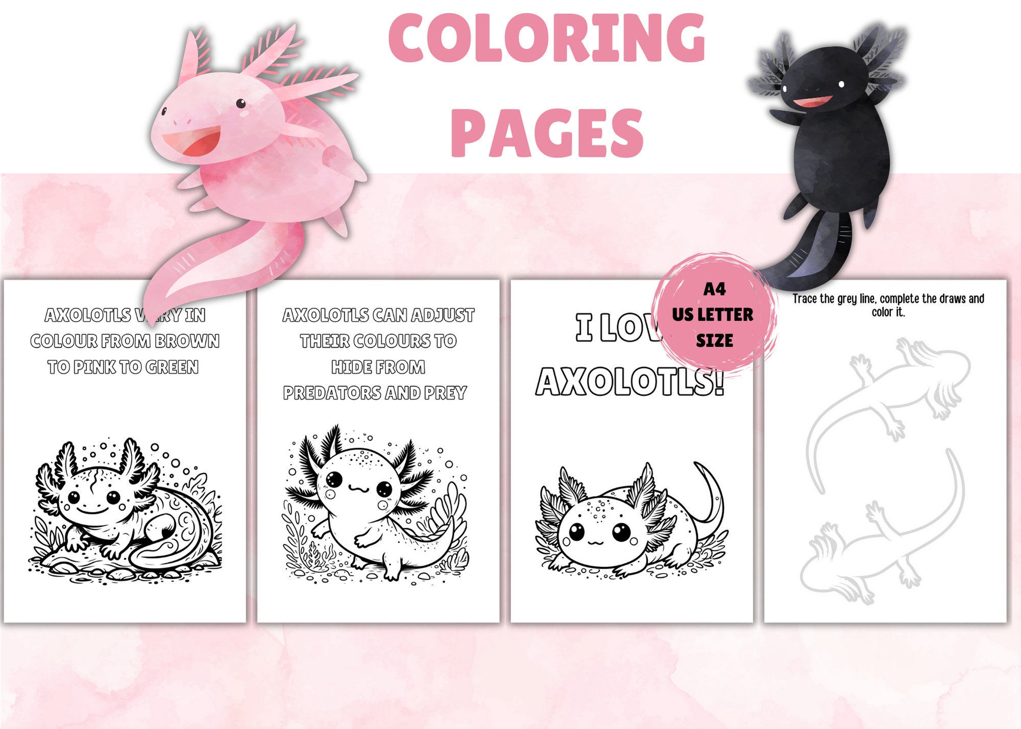 Axolotl Activities Pack. Axolotl Mini Study. Axolotl Printables ...