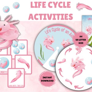 Axolotl Activities Pack. Axolotl Mini Study. Axolotl Printables ...