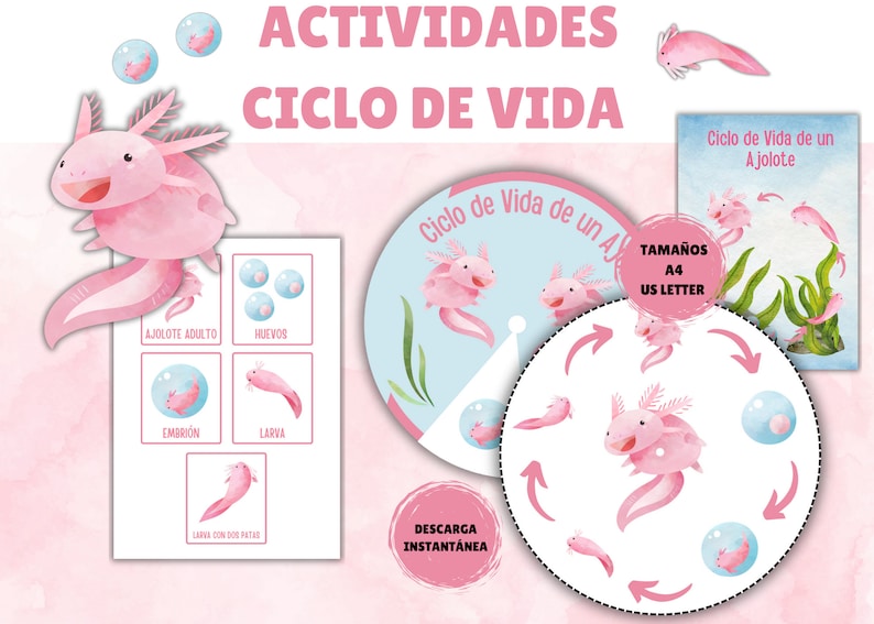 Axolotl Activities Pack in Spanish. Spanish Axolotl Mini Study. Axolotl ...
