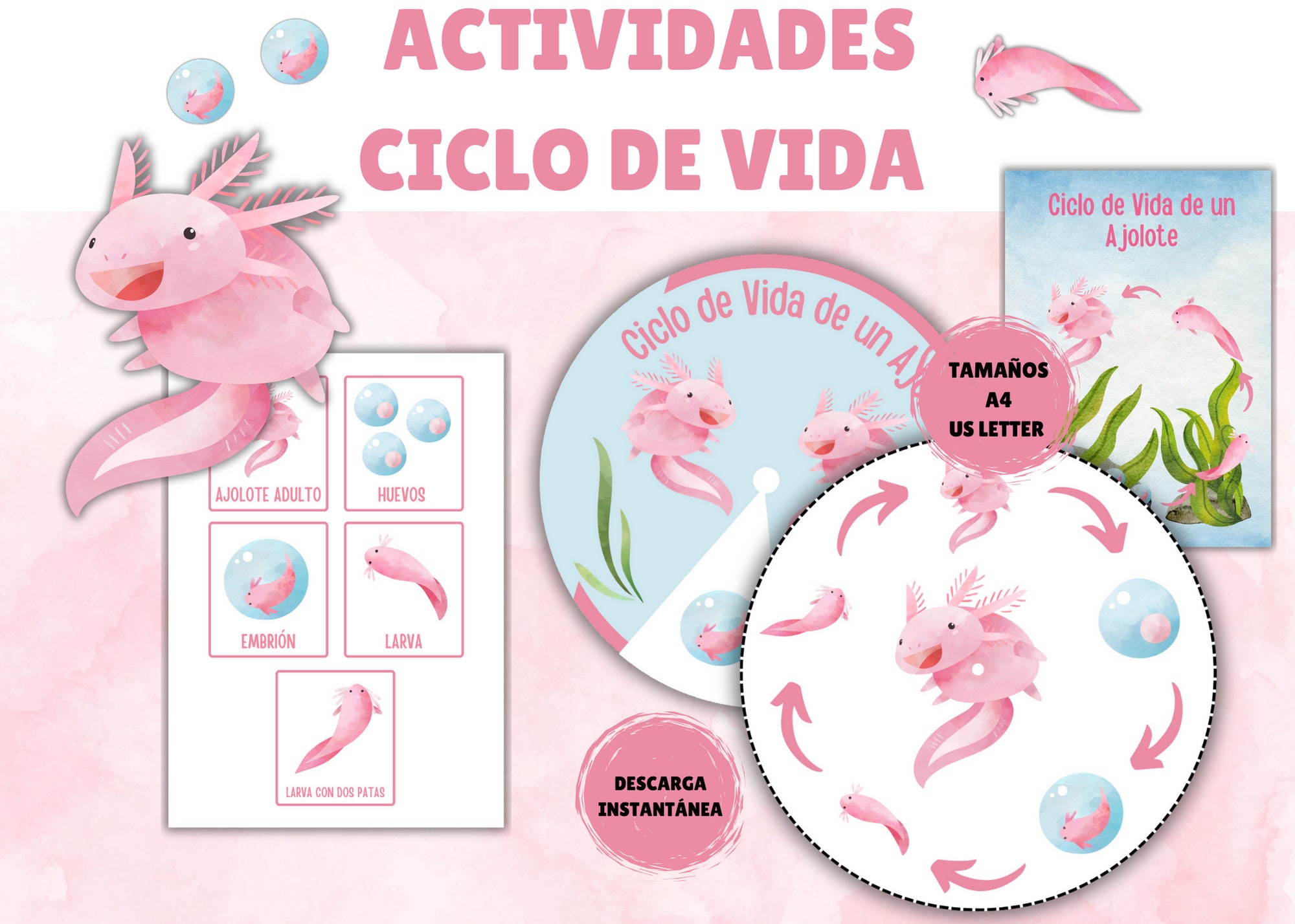 Axolotl Activities Pack in Spanish. Axolotl Mini Study in Spanish ...