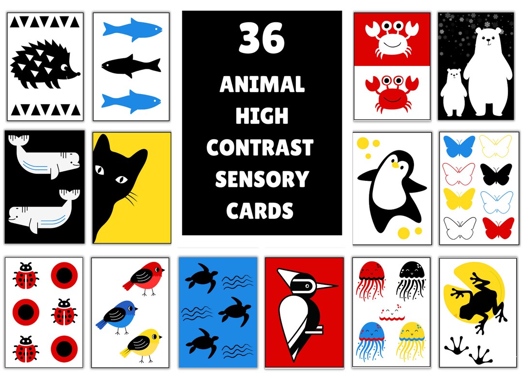 36 High Contrast Color Animal Cards for Babies. Visual Stimulation ...