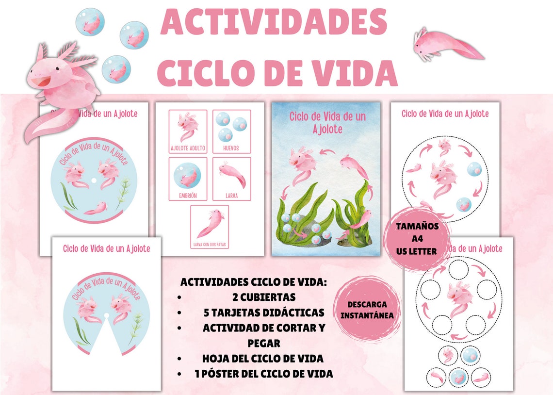 Axolotl Activities Pack in Spanish. Axolotl Mini Study in Spanish ...