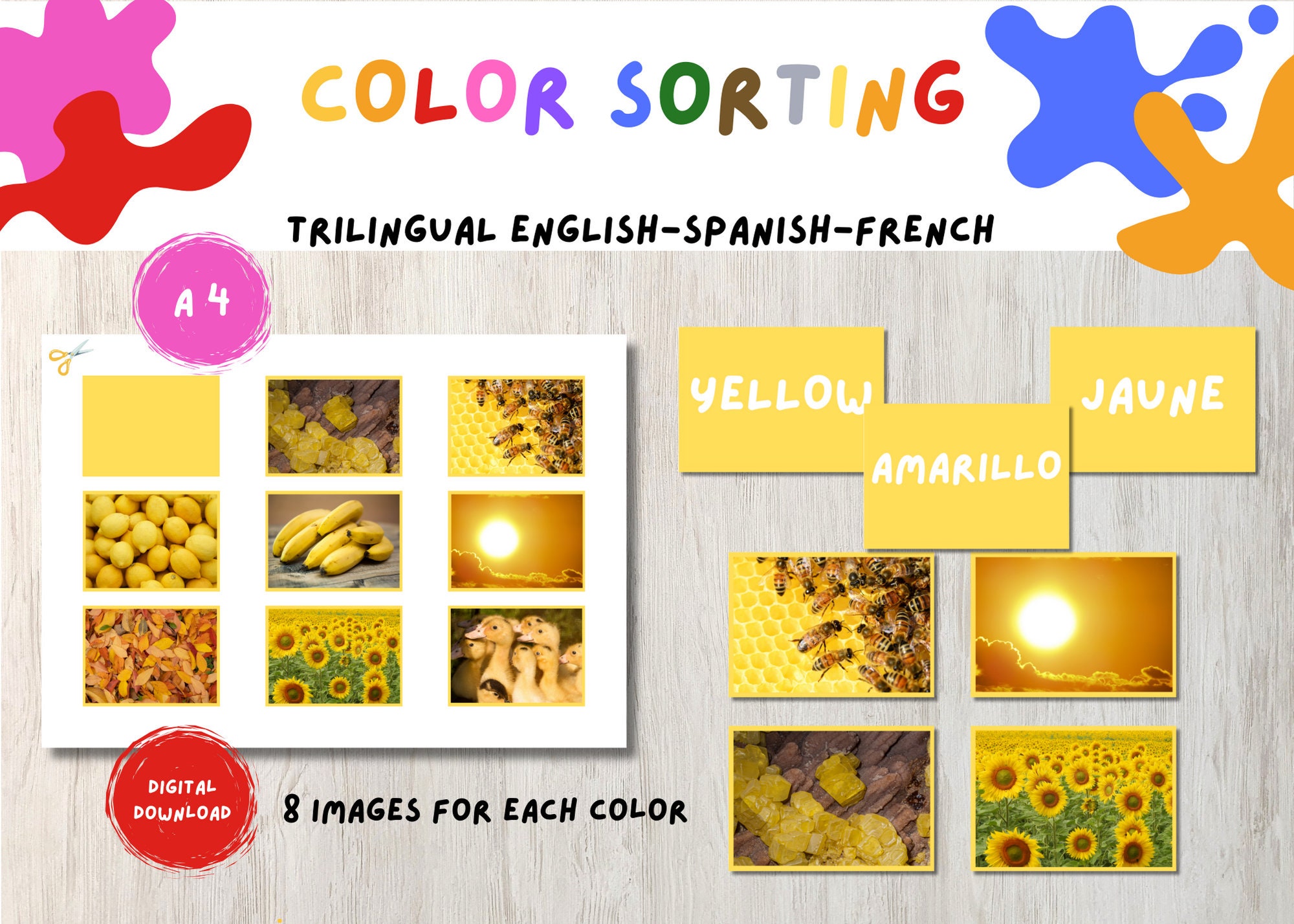 Color Sorting Cards in Three Languages (english, Spanish and French ...