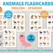 108 Animal Flashcards in Spanish and English. Animal Flashcards ...