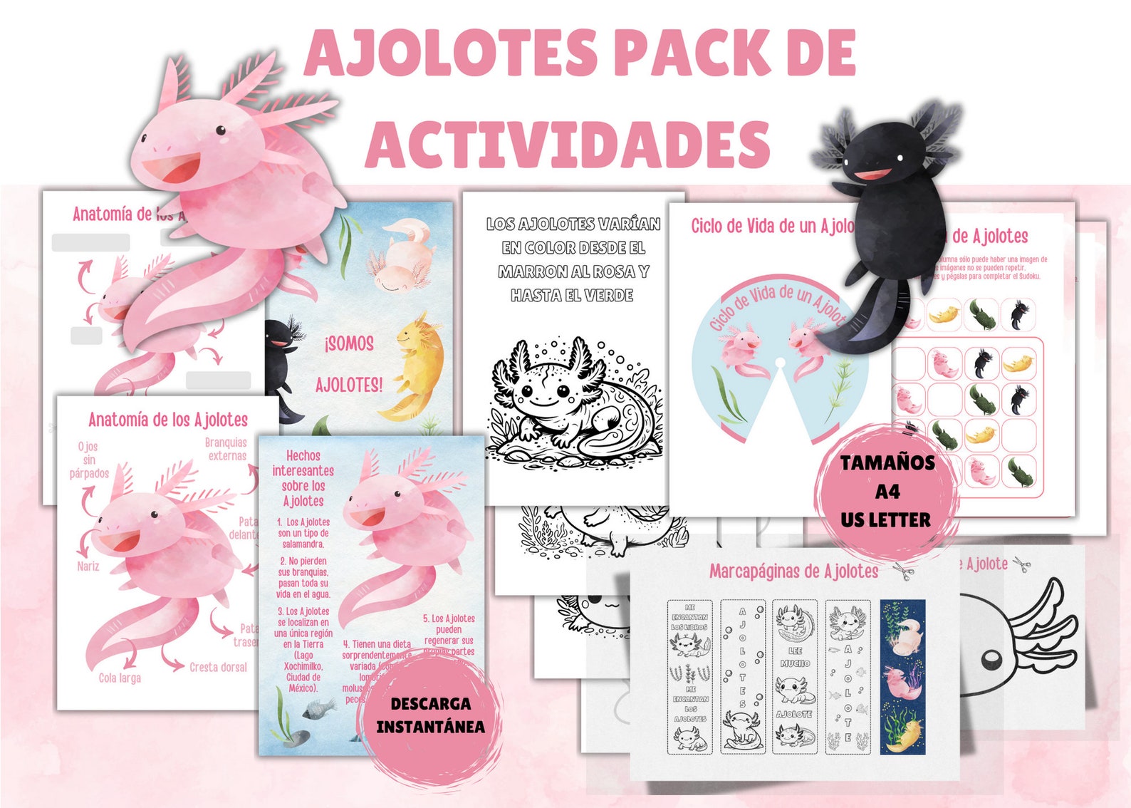 Axolotl Activities Pack in Spanish. Axolotl Mini Study in Spanish ...