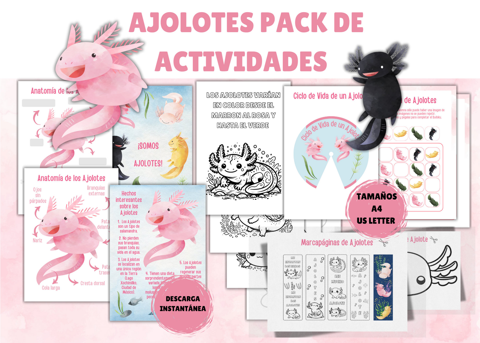 Axolotl Activities Pack in Spanish. Axolotl Mini Study in Spanish ...