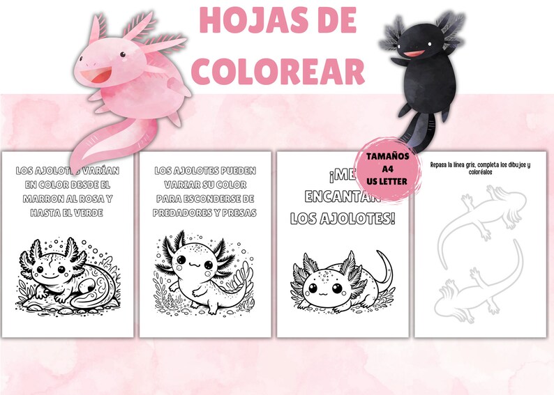 Axolotl Activities Pack in Spanish. Spanish Axolotl Mini Study. Axolotl ...