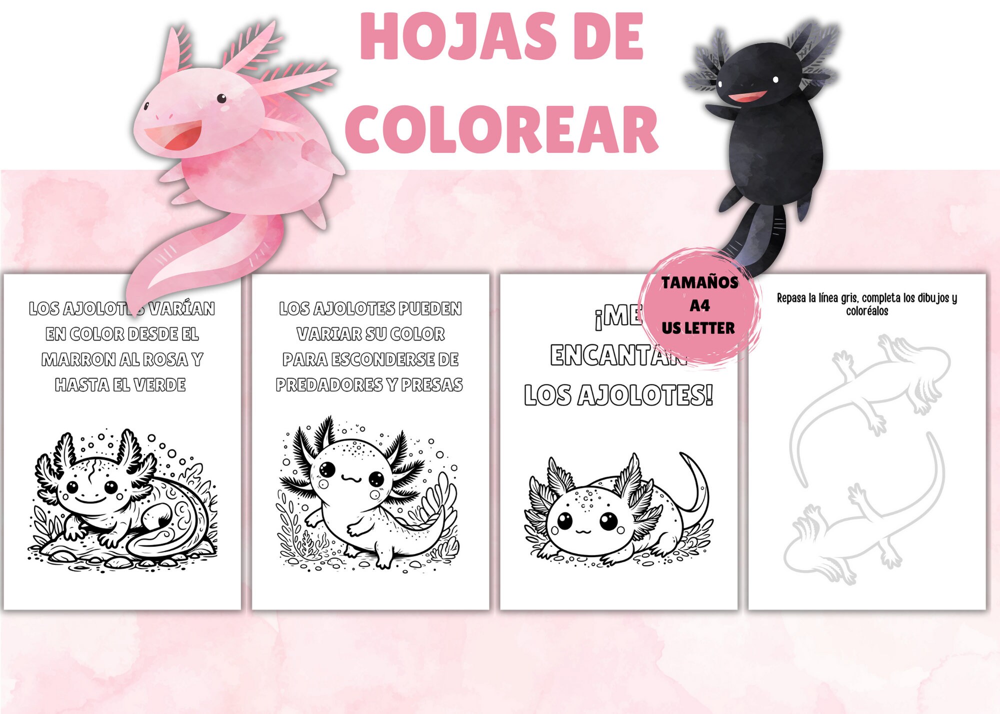 Axolotl Activities Pack in Spanish. Axolotl Mini Study in Spanish ...