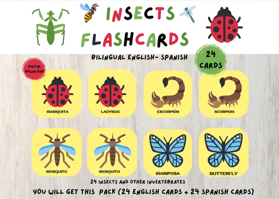 Printable Insects and Other Invertebrates Flashcards in Two Languages ...
