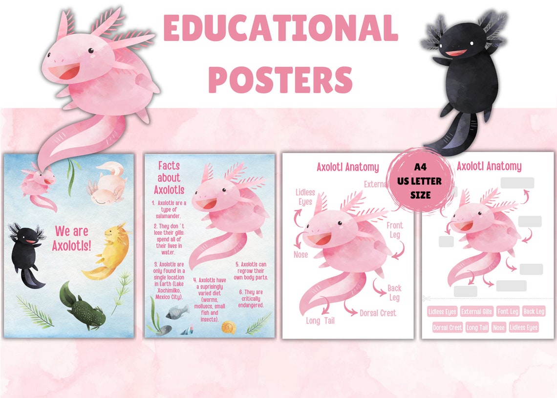 Axolotl Activities Pack. Axolotl Mini Study. Axolotl Printables ...