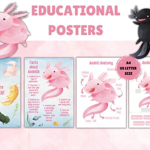Axolotl Activities Pack. Axolotl Mini Study. Axolotl Printables ...