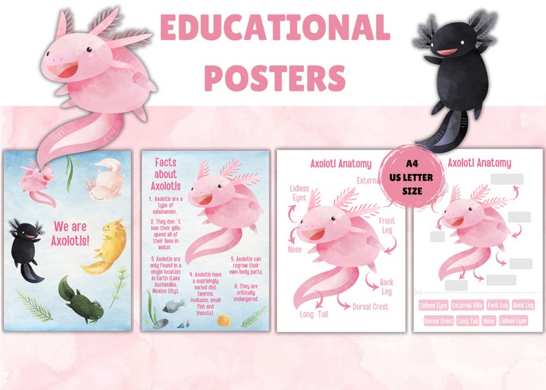 Axolotl Activities Pack. Axolotl Mini Study. Axolotl Printables ...
