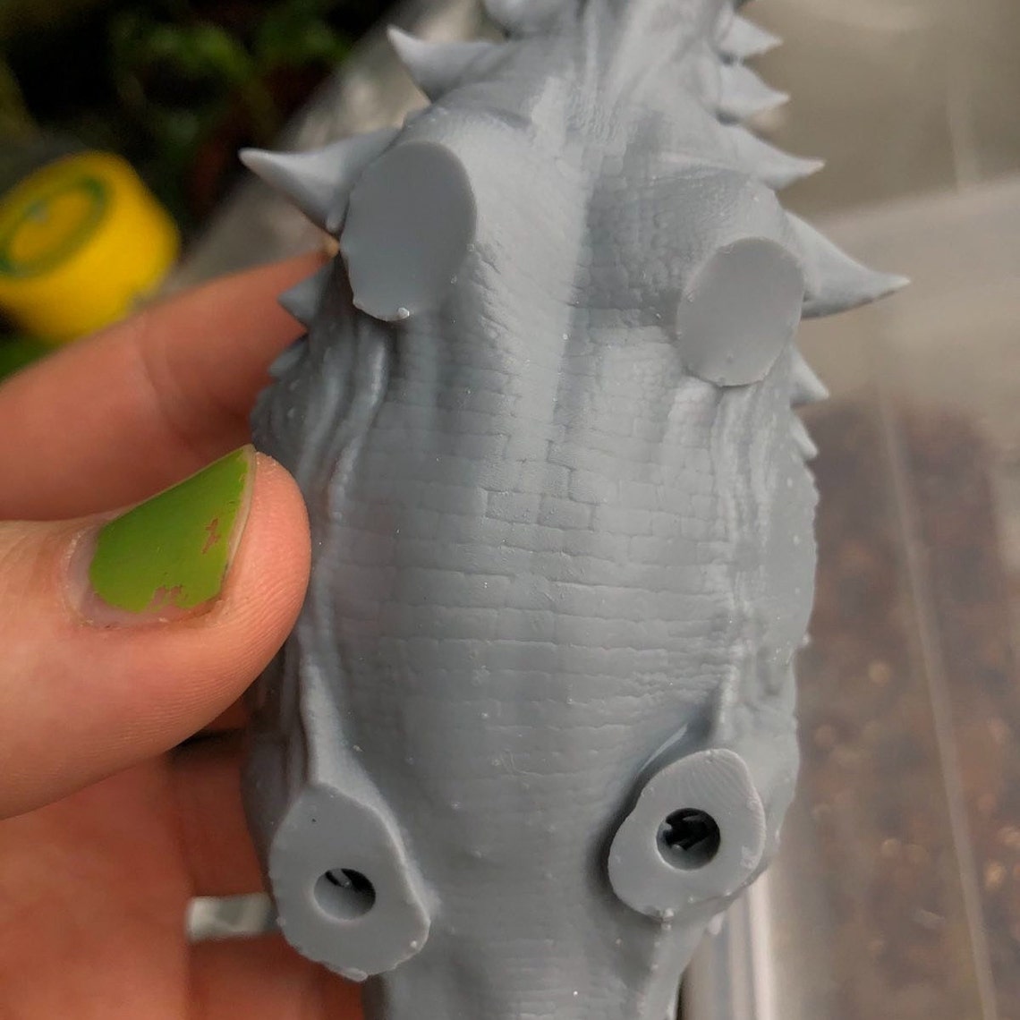 Struthiosaurus Austriacus 1/20 - Etsy