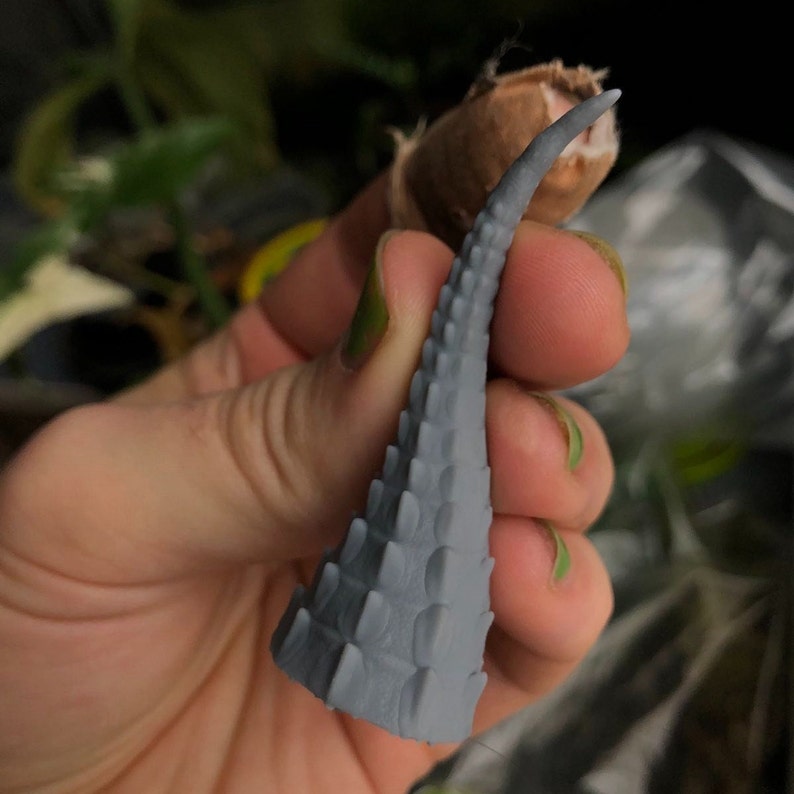 Struthiosaurus Austriacus 1/20 - Etsy