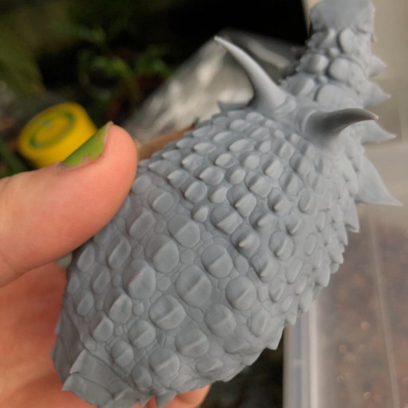 Struthiosaurus Austriacus 1/20 - Etsy