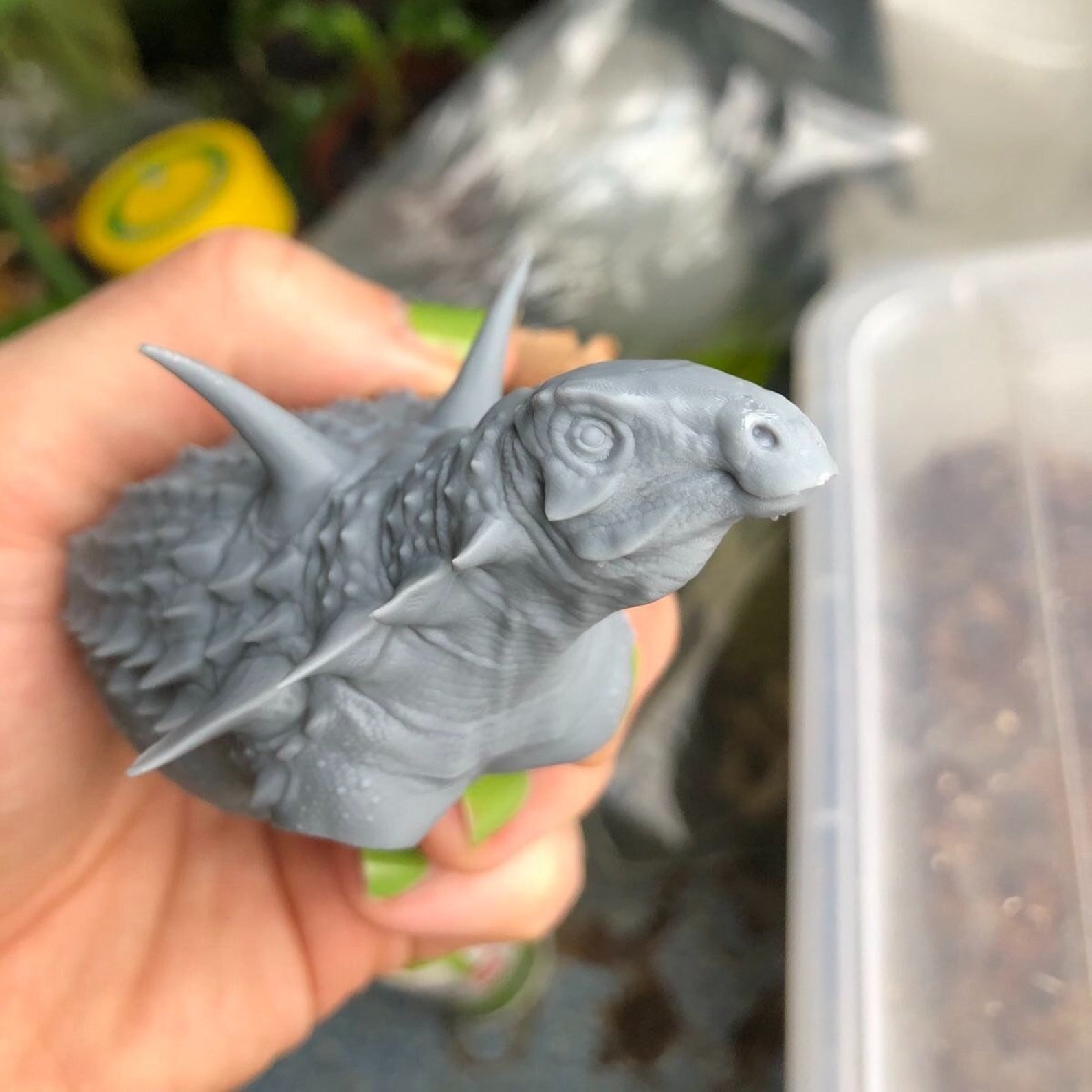 Struthiosaurus Austriacus 1/20 - Etsy