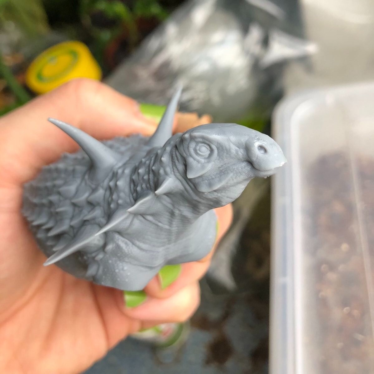 Struthiosaurus Austriacus 1/20 - Etsy