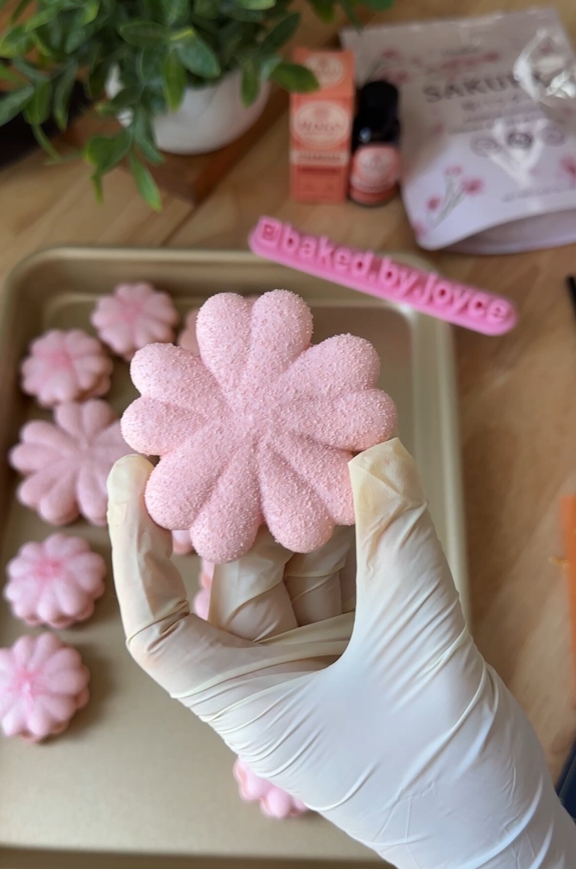 Printable Large Sakura Macaron Template - Etsy