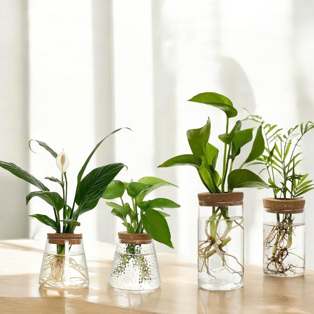 Plant Propagation Station Vase Cute Glass Terrarium Jars, Modern ...