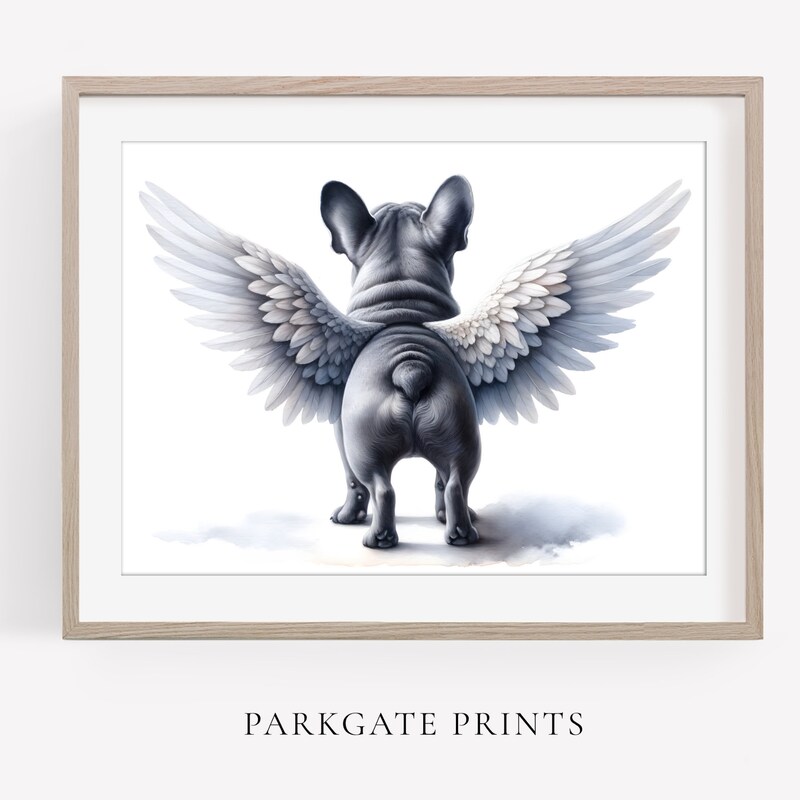French Angel - Etsy