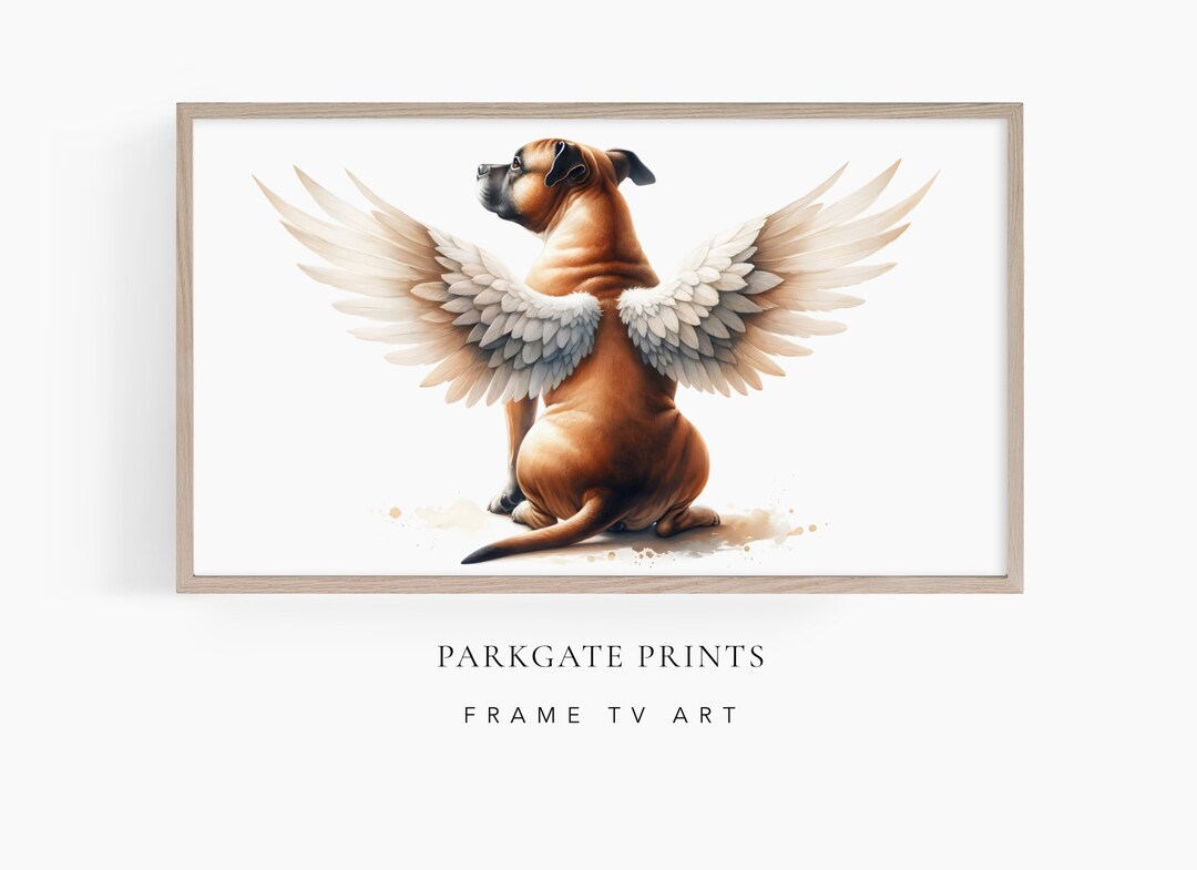 Staffordshire Bull Terrier Frame TV Art, Tan Staffy With Angel Wings ...