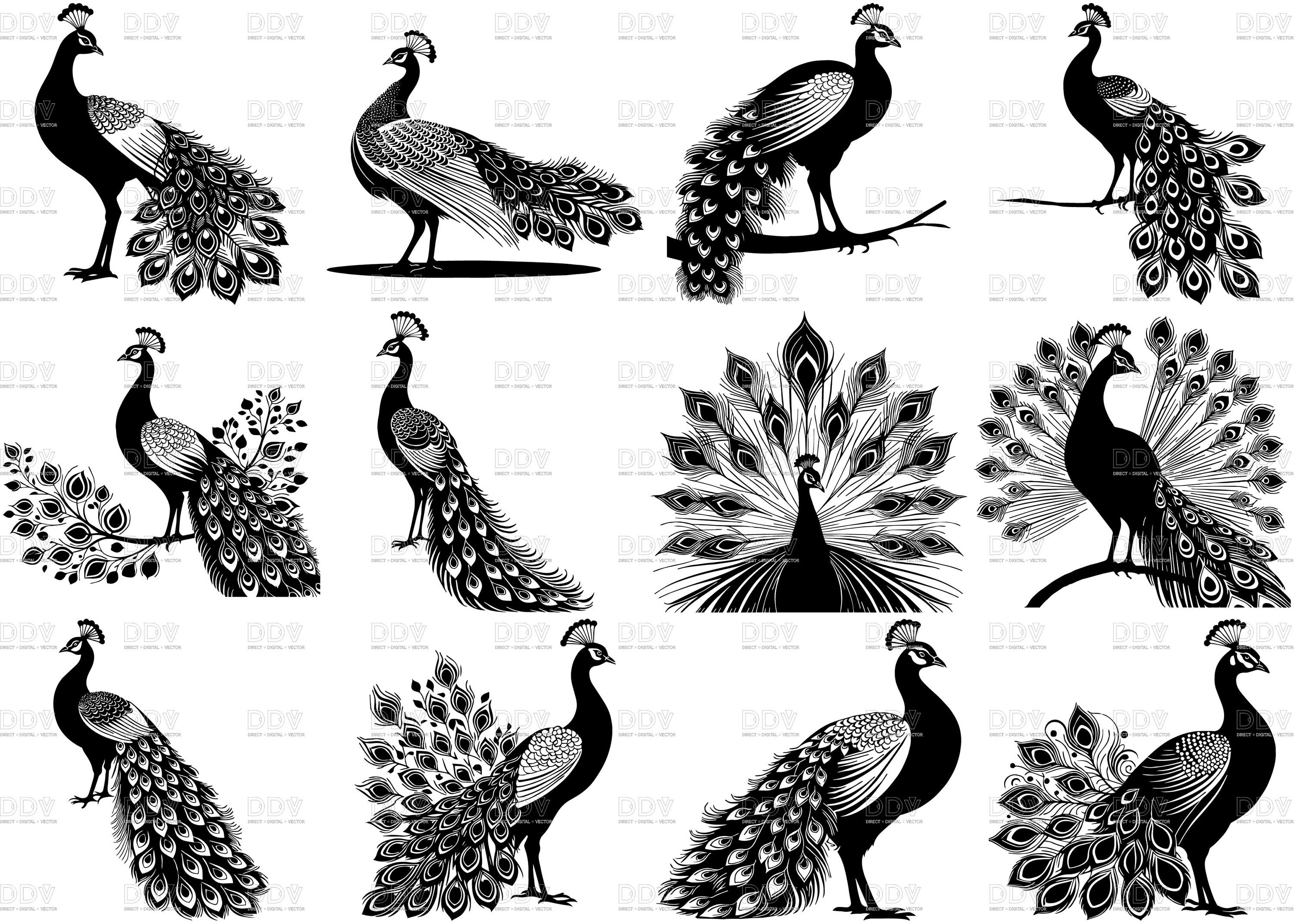 Peacock Svg Bundle, Peacock Cricut, Peacock Vector File, Peacock ...