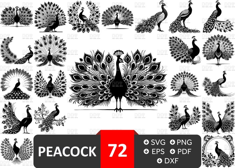 Peacock SVG BUNDLE, Peacock Svg,svg Peacock,peacock Silhouette,peacock ...