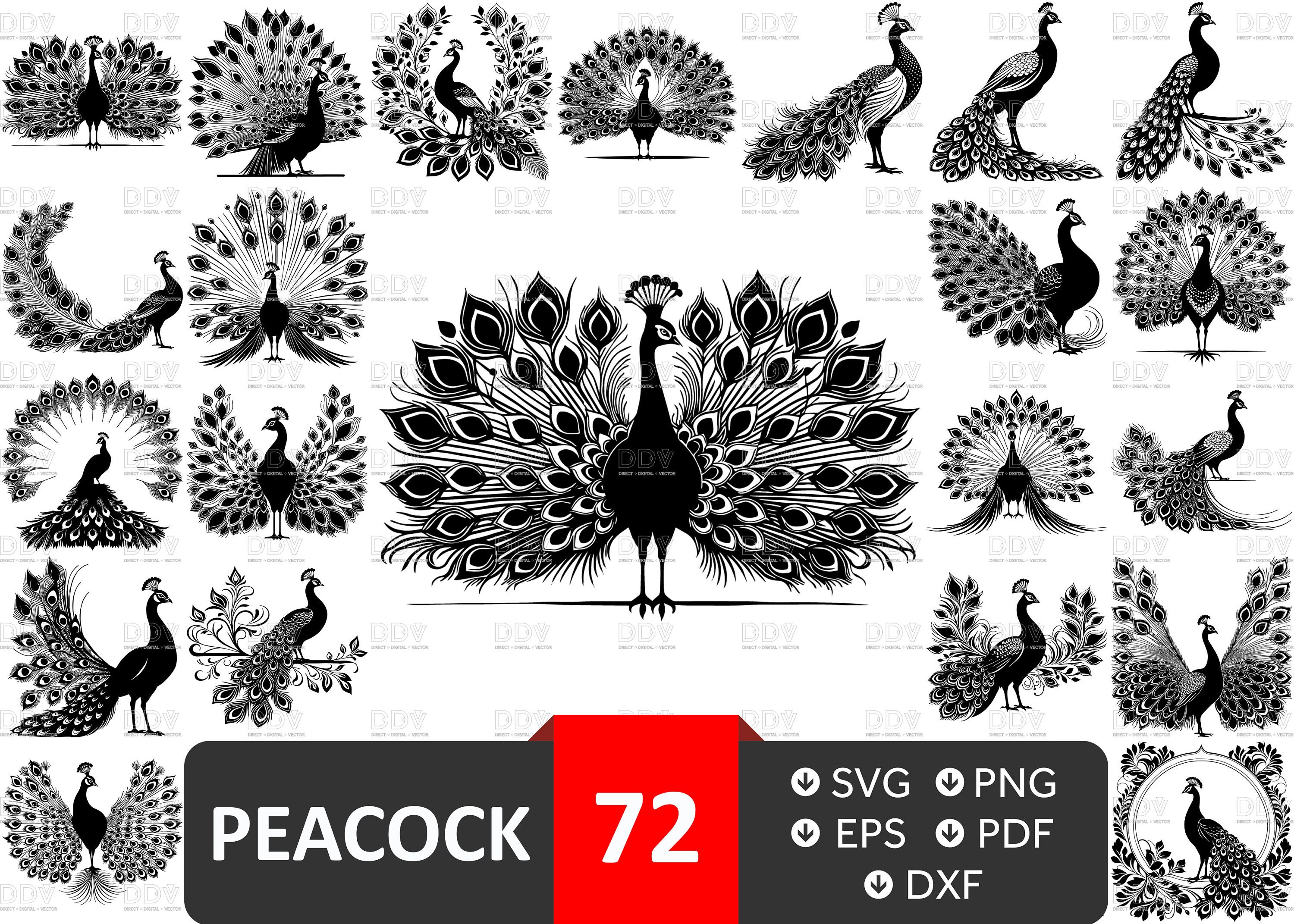 Peacock SVG BUNDLE, Peacock Svg,svg Peacock,peacock Silhouette,peacock ...