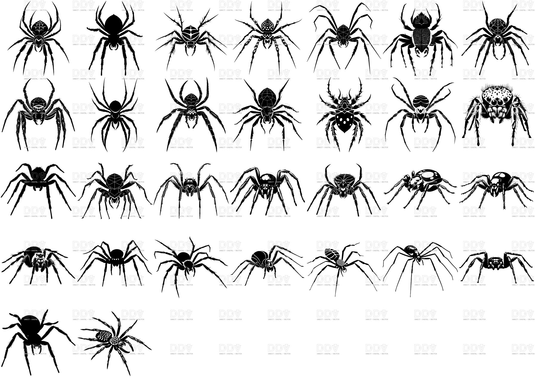 Spider Svg , Vector File, Spider Clipart, Spider Svg for Cricut, Spider ...