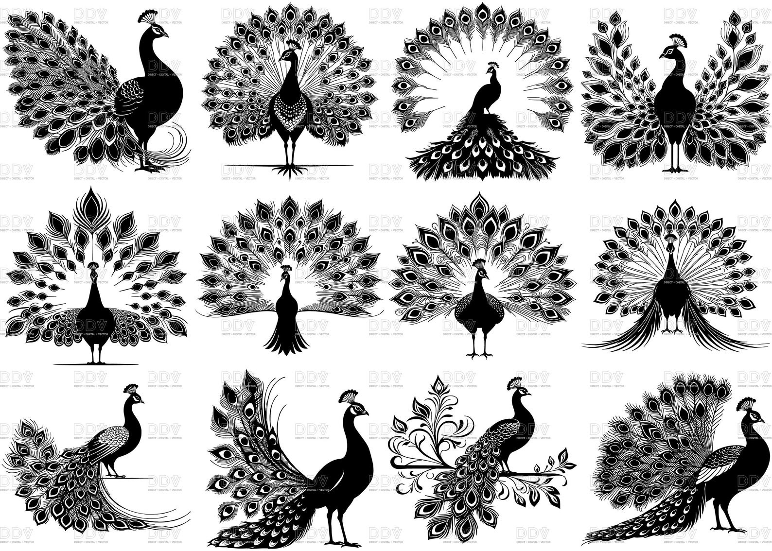 Peacock Svg Bundle Peacock Cricut Peacock Vector File Peacock Layered Svg Peacock Dxf