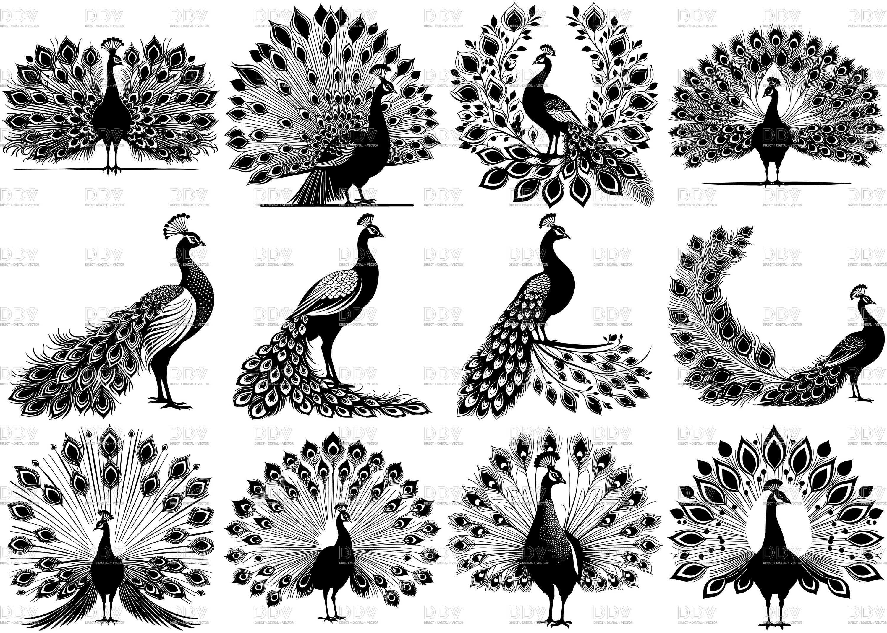 Peacock Svg Bundle, Peacock Cricut, Peacock Vector File, Peacock ...