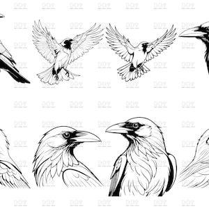 Rabe svg bündel, Vektor-Datei, Rabe svg, Rabe Clipart, Rabe Cut-Dateien ...