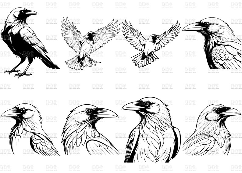 Rabe svg bündel, Vektor-Datei, Rabe svg, Rabe Clipart, Rabe Cut-Dateien ...