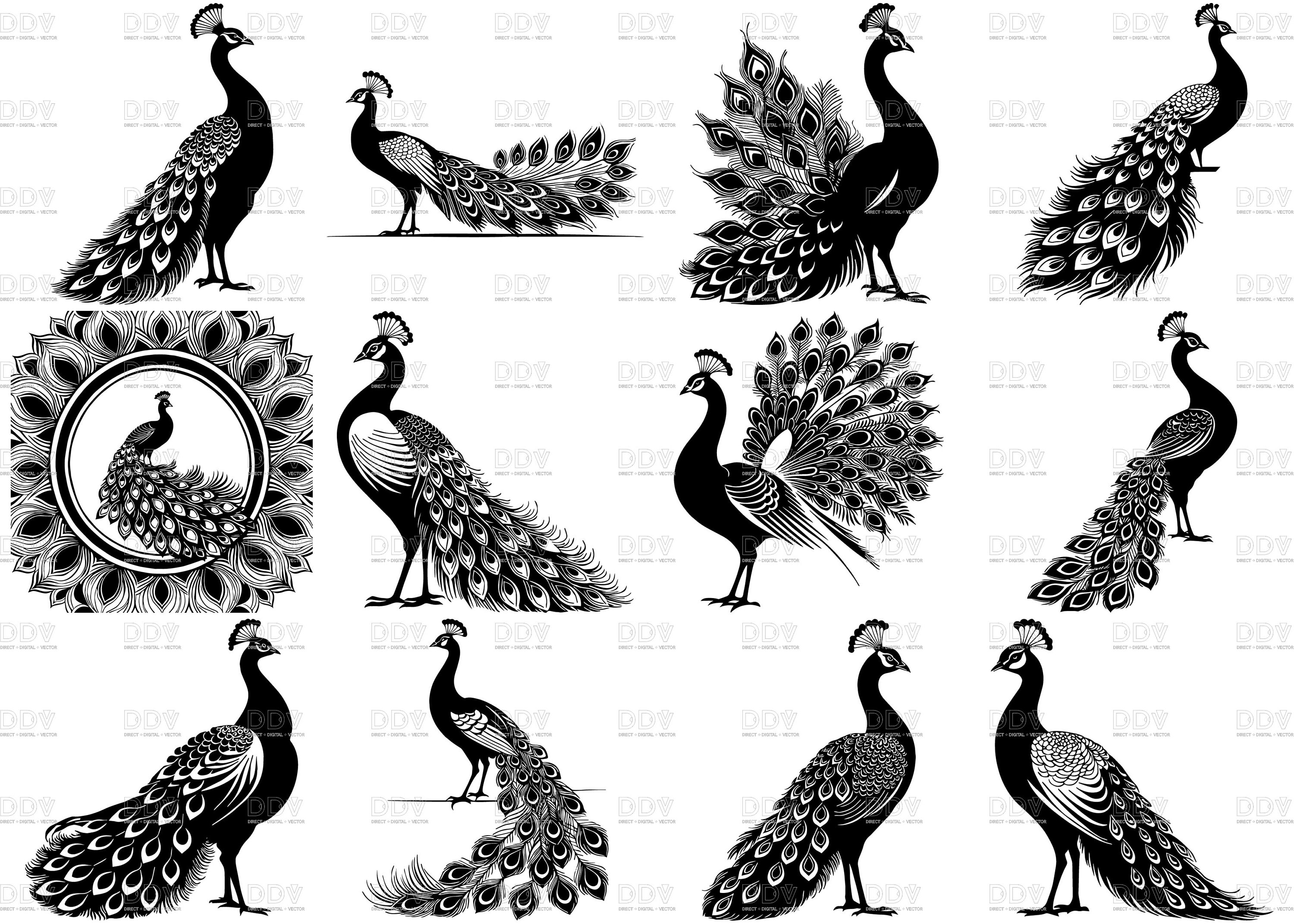 Peacock Svg Bundle, Peacock Cricut, Peacock Vector File, Peacock ...