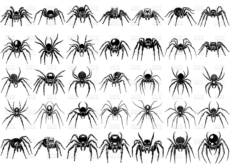 Spider Svg , Vector File, Spider Clipart, Spider Svg for Cricut, Spider ...