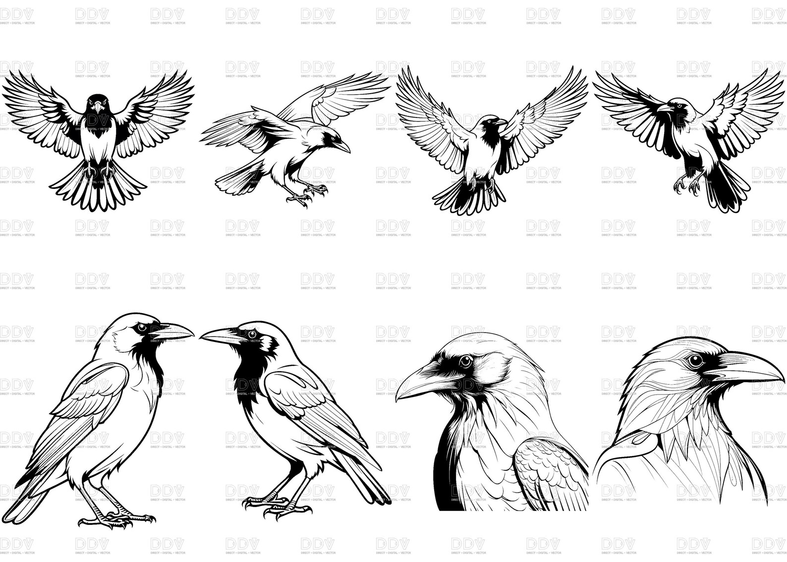 Raven Svg Bundle, Vector File, Raven Svg, Raven Clipart, Raven Cut ...