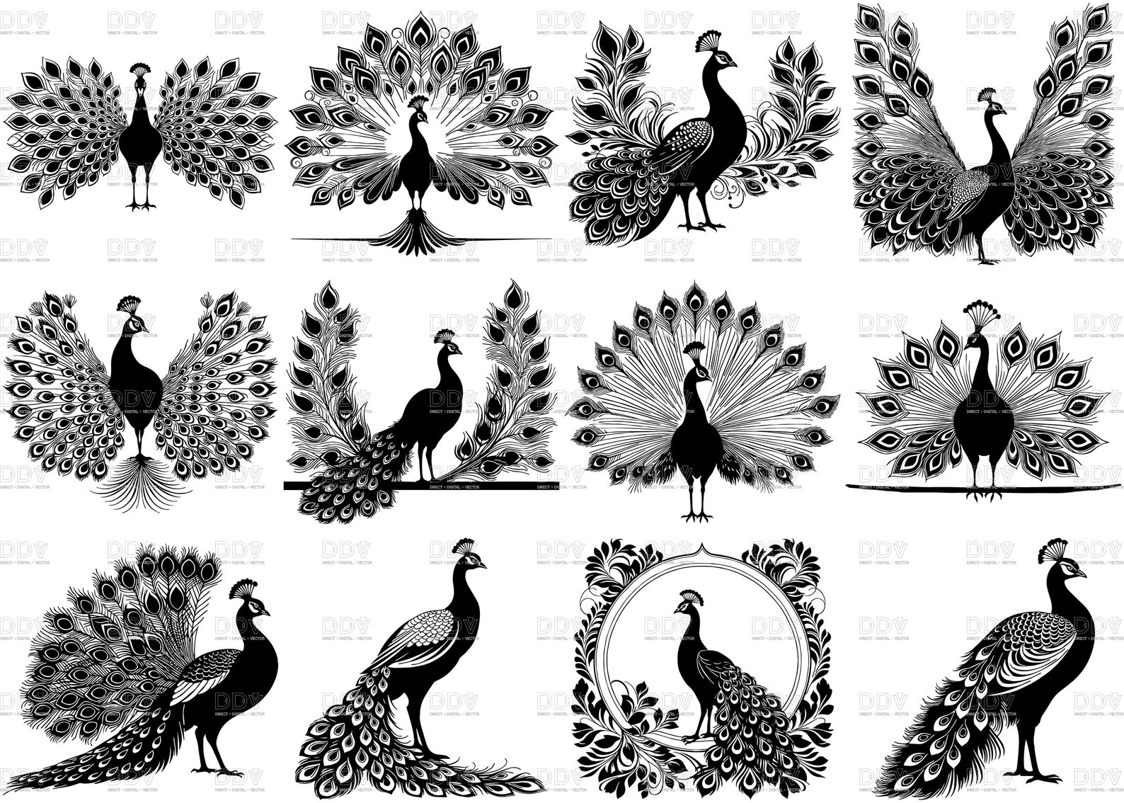 Peacock Svg Bundle, Peacock Cricut, Peacock Vector File, Peacock ...
