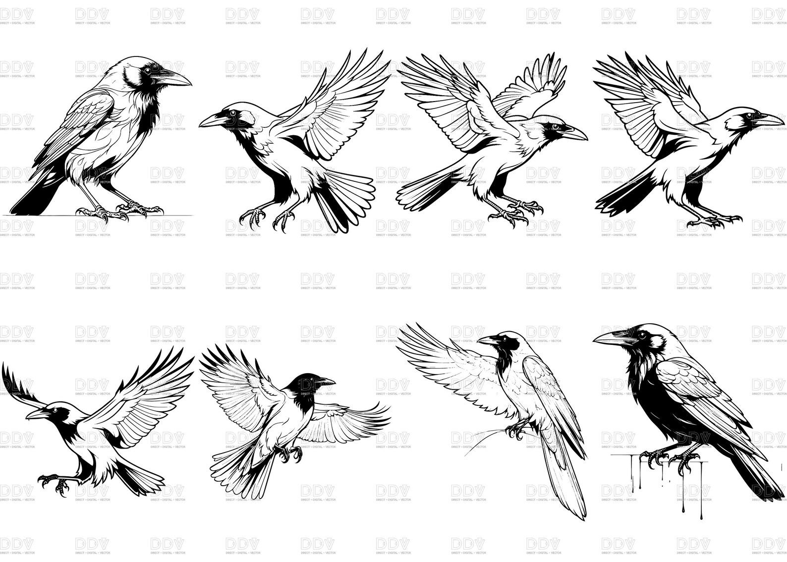 Raven Svg Bundle, Vector File, Raven Svg, Raven Clipart, Raven Cut ...