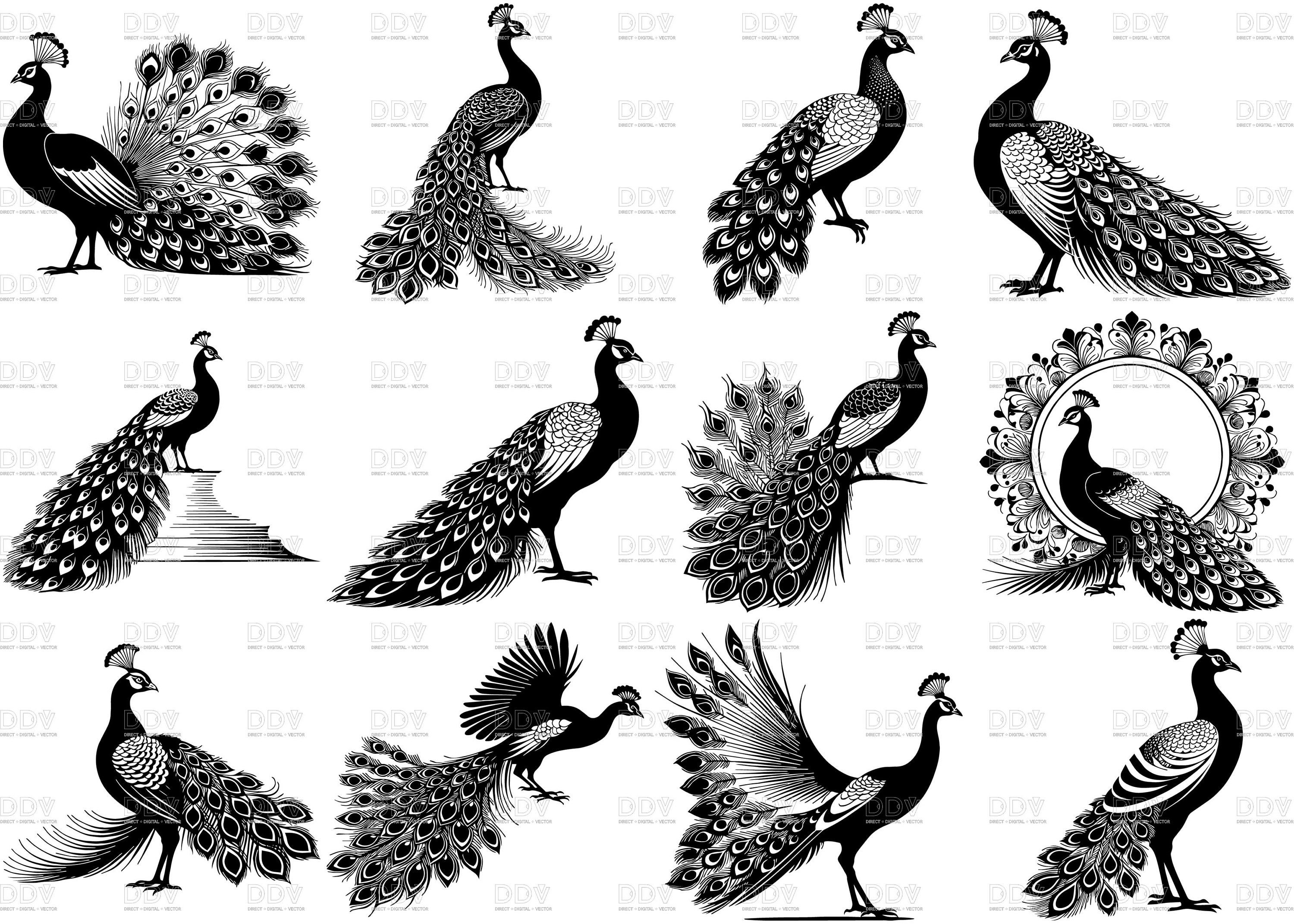 Peacock Svg Bundle, Peacock Cricut, Peacock Vector File, Peacock ...